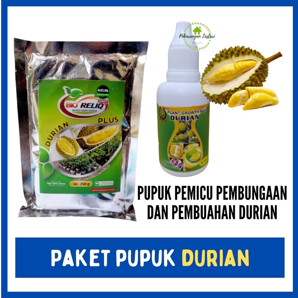 Jual Paket Budidaya Durian Musang King, Pupuk Buah Durian Lokal ...