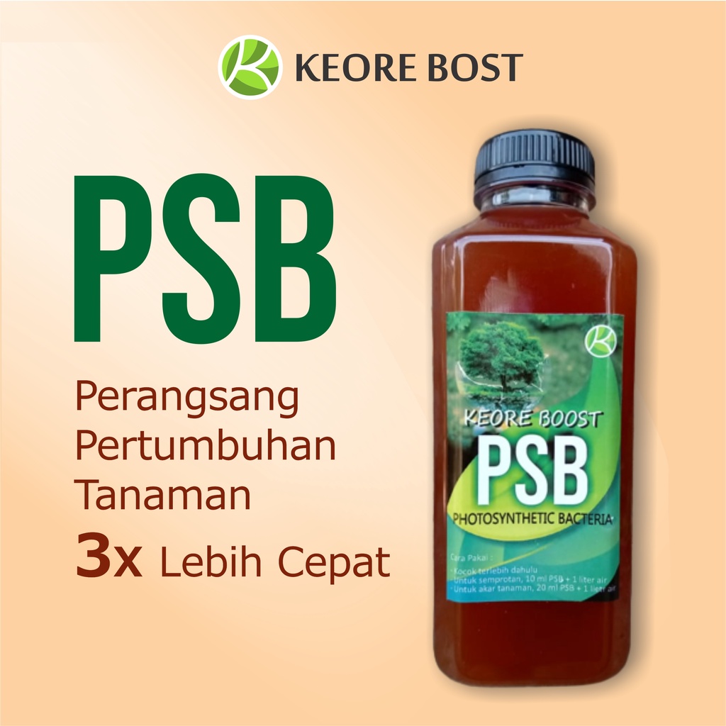 Jual Pupuk organik cair biang psb booster tanaman kerdil 500 ml | Shopee Indonesia