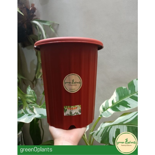 Jual Pot Bunga Tanaman Tinggi Plastik Tebal Yogap YPT 18 Coklat Bata ...