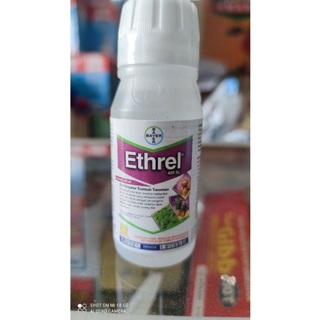 Jual ETHREL 100ML ZPT 480SL PEMATANG BUAH AGAR BUAH CEPAT MATANG ...