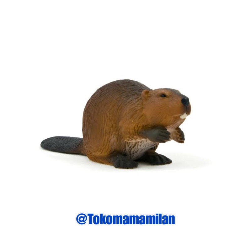 Jual Mojo | Mojo Fun Animal Figurine Beaver / Berang-berang - Woodland ...