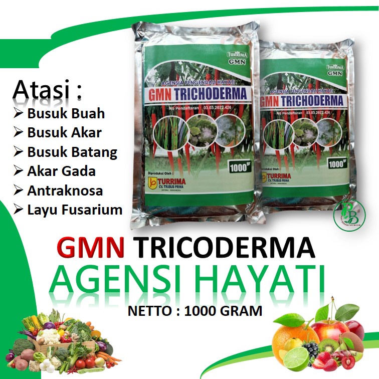 Jual Pupuk Trichoderma Padat 1 kg, Fungisida Hayati Tricoderma cegah ...