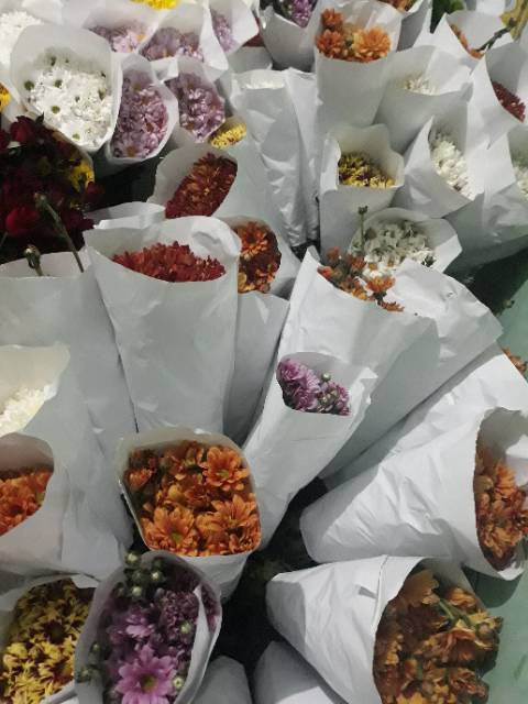 Jual Bunga aster per 1 ikat (per ikat isi 10 batang) rundom | Shopee ...