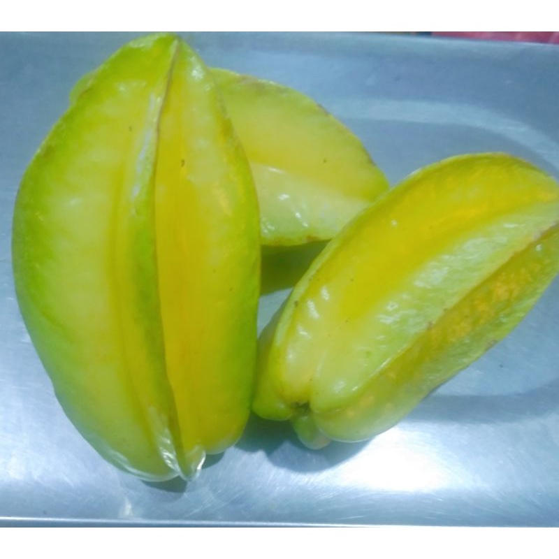 Jual BELIMBING Mm(1PCS) | Shopee Indonesia