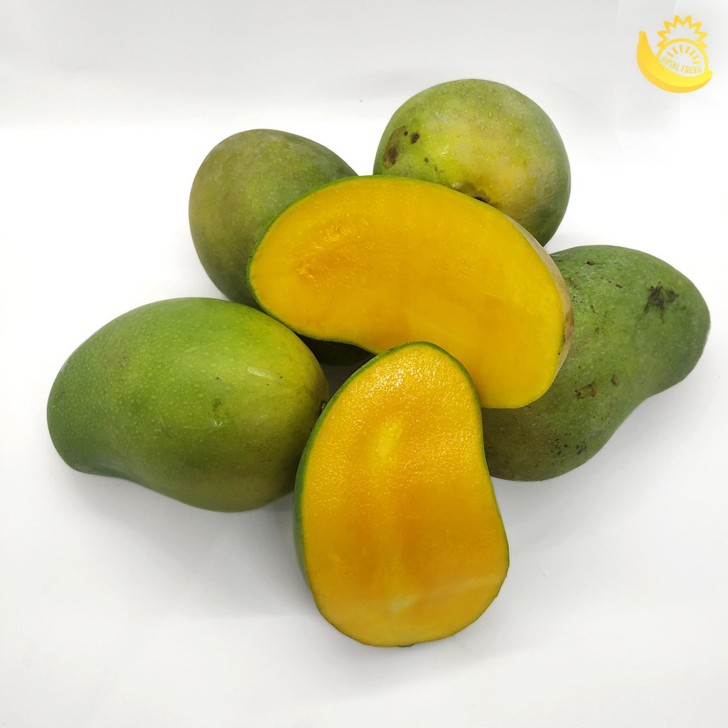 Jual Mangga Harum Manis / Harum Manis Mango | Shopee Indonesia