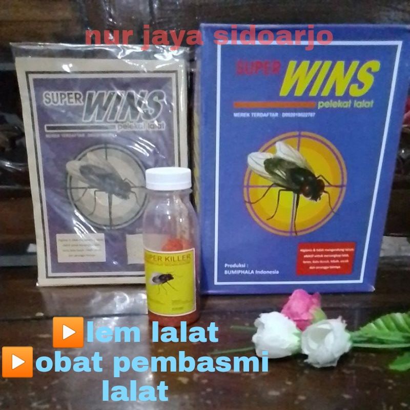 Jual obat pembasmi lalat/LEM LALAT AMPUHLEM LALAT WINS ORIGINAL 10 ...