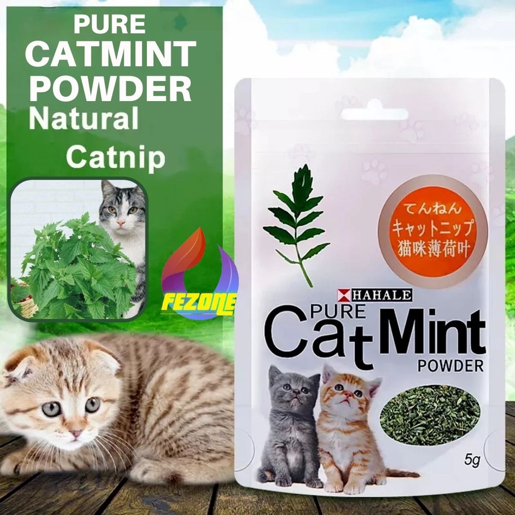 Jual Catmint Catnip Cat Mint Serbuk Organik Kucing 5g Bikin Fly Kucing ...