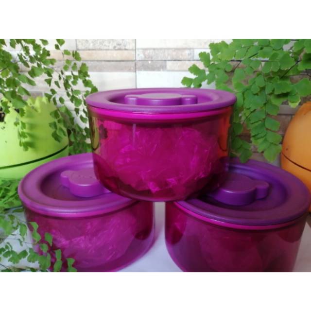 Jual Premiere Collection tupperware ungu / toples tupperware murah (1 ...
