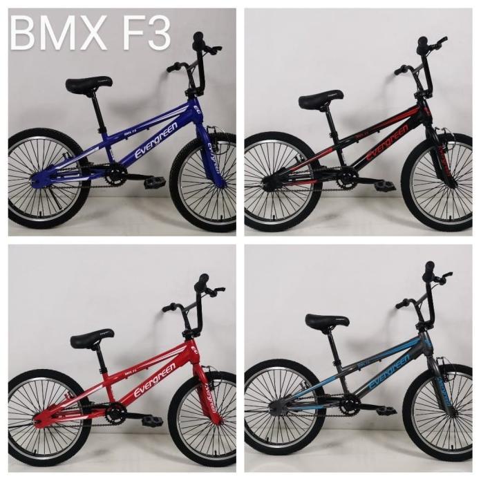 Jual Promo!!!! Sepeda Bmx Anak 20" Evergreen Stang Rotor Rem Torpedo ...