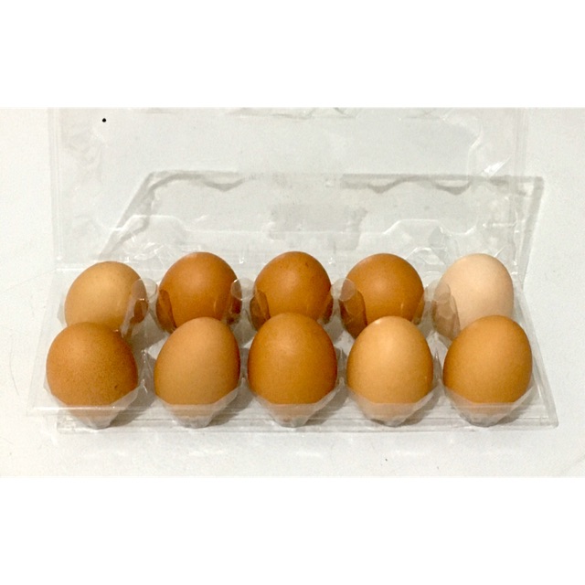 Jual 1 pak isi 10 Telur Ayam Negeri Segar Setiap Hari | Shopee Indonesia