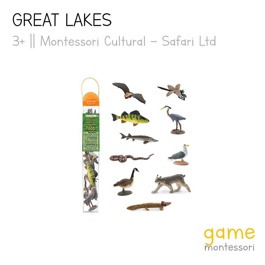 Jual Safari Ltd The Great Lakes Toob | Shopee Indonesia