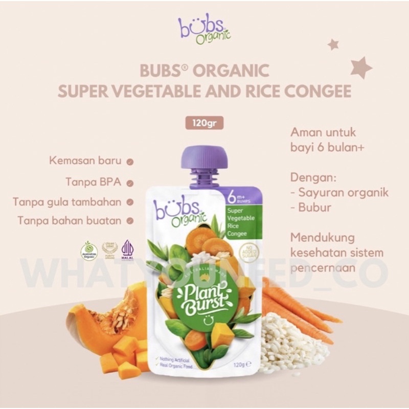 Jual Mpasi Bubs Organic Baby Food Pouch (120g) | Baby Travel Food ...