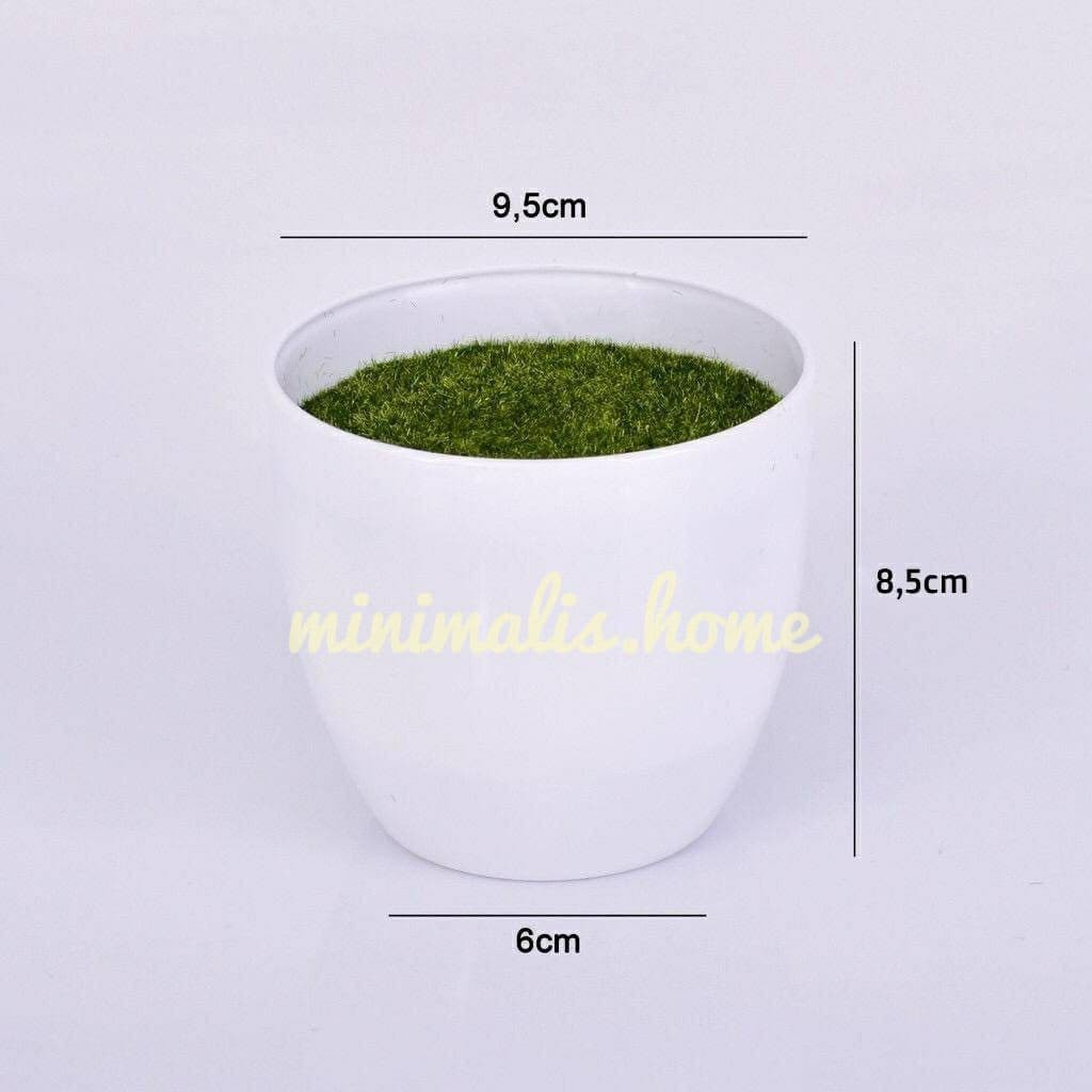 Jual Pot Plastik Model Bulat untuk Tanaman Hias dan Vas Bunga ...