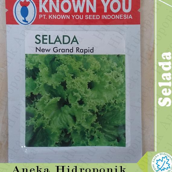 Jual Alat Hidroponik : Biji Bibit Benih Selada, New Grand Rapid, Known You Seed Termurah ...