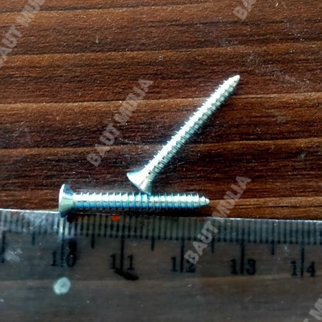 Jual SEKRUP FH 4X 1" 2.5 CM ISI 10 PCS / BAUT TAPPING JF KEPALA BULAT ...