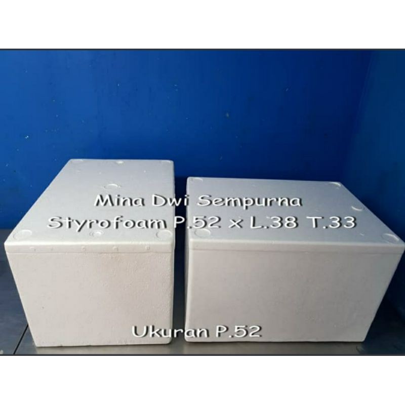 Jual Styrofoam box 18 - 20kg / Sterofoam Ikan Beku & Daging Beku/ Cool ...