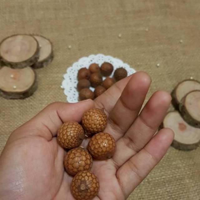 Jual BIJI ROTAN 1 PACK HIASAN RUSTIC HIASAN KOTAK LAMARAN KOTAK ...