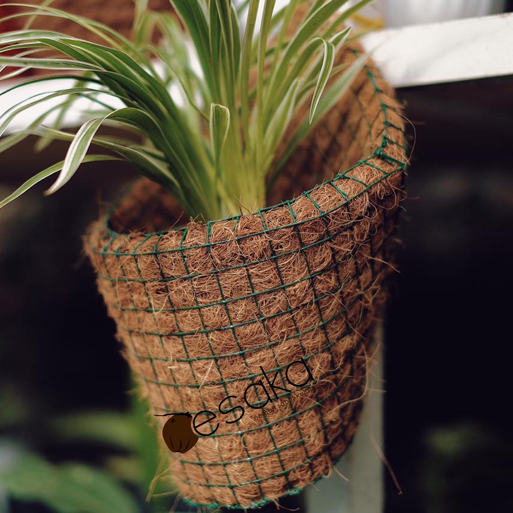 Jual pot bentuk kerucut pot sabut kelapa pot anggrek tempel dinding ram ...