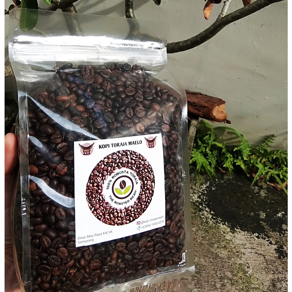 Jual KOPI TORAJA ASLI - kopi robusta semarang - KOPI TORAJA MAELO ...