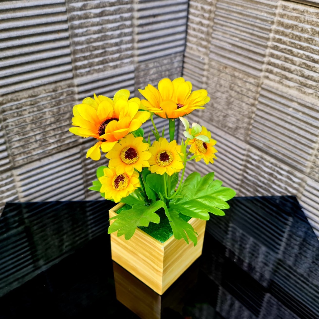 Jual Tanaman Matahari Mini Hias Kecil Hiasan Pajangan Ruang Tamu ...