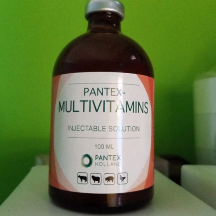 Jual multivitamin injeksi pantex 100ml vitamin komplex komplit | Shopee ...