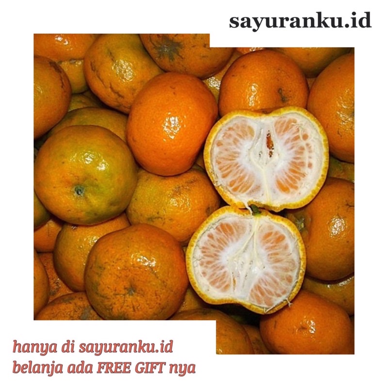 Jual jeruk medan super jeruk medan manis jeruk medan 1 kg | Shopee ...