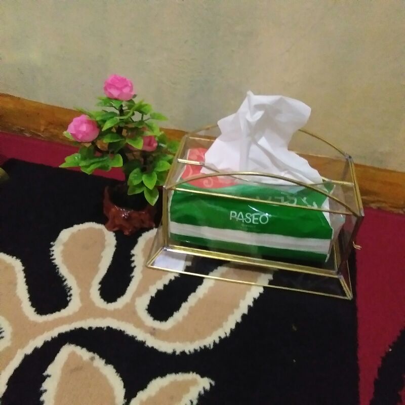 Jual BOK TISSUE CANTIQ | Shopee Indonesia
