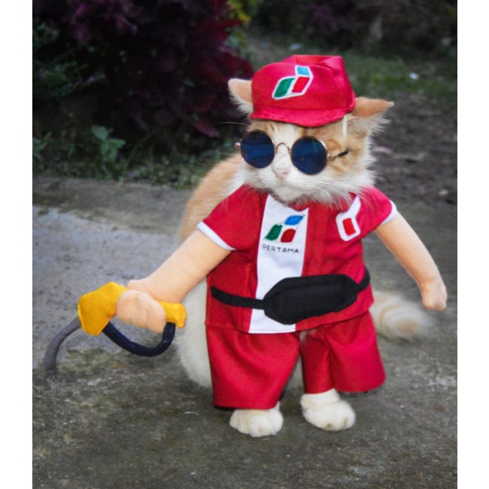 Jual Baju kucing bengsin | Shopee Indonesia