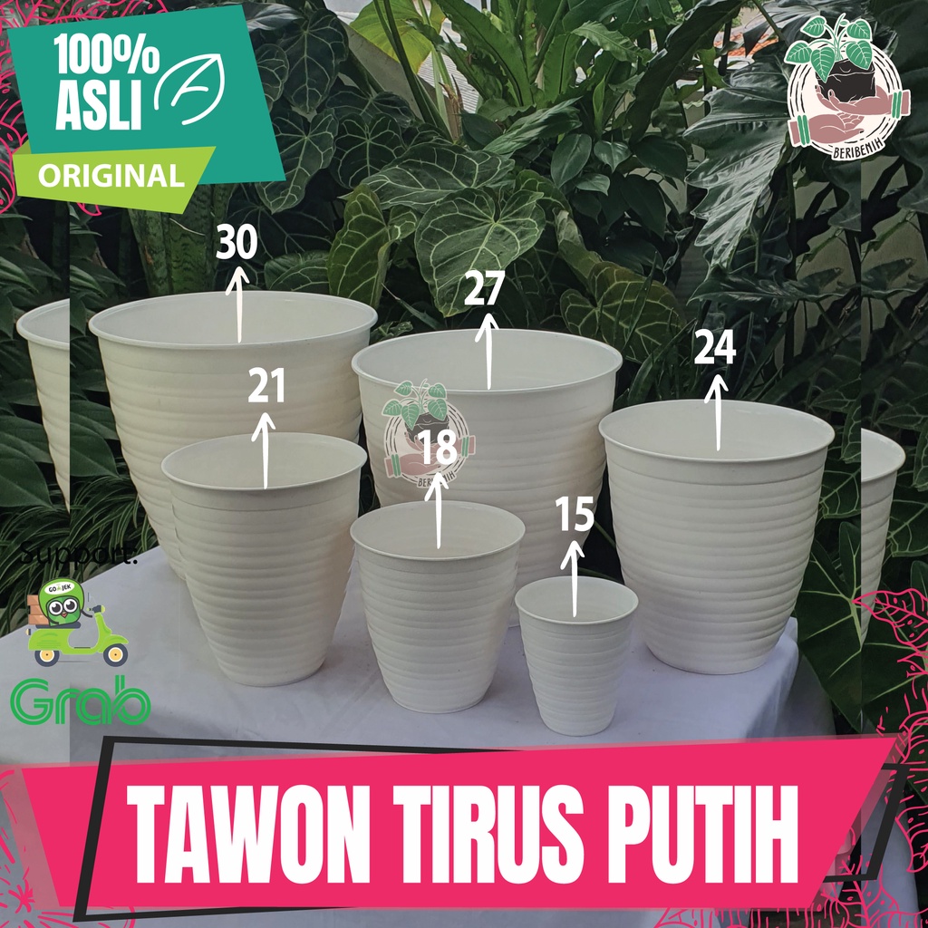 Jual Pot Tawon Tirus Pirus Putih Pot Tanaman Hias Bunga Original Budi ...