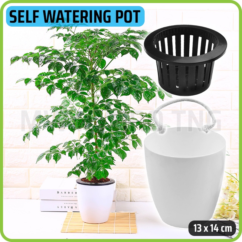Jual Self Watering Pot, Wick System, Pot Tanaman Bunga Otomatis, L 13 ...