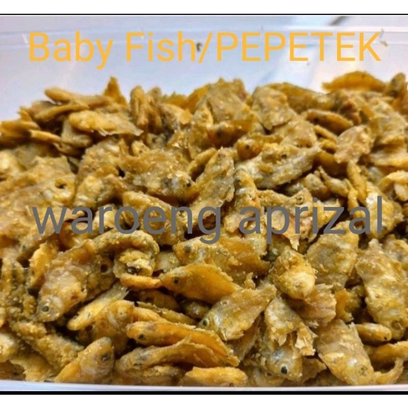 Jual Baby Fish(IKAN PEPETEK) | Shopee Indonesia