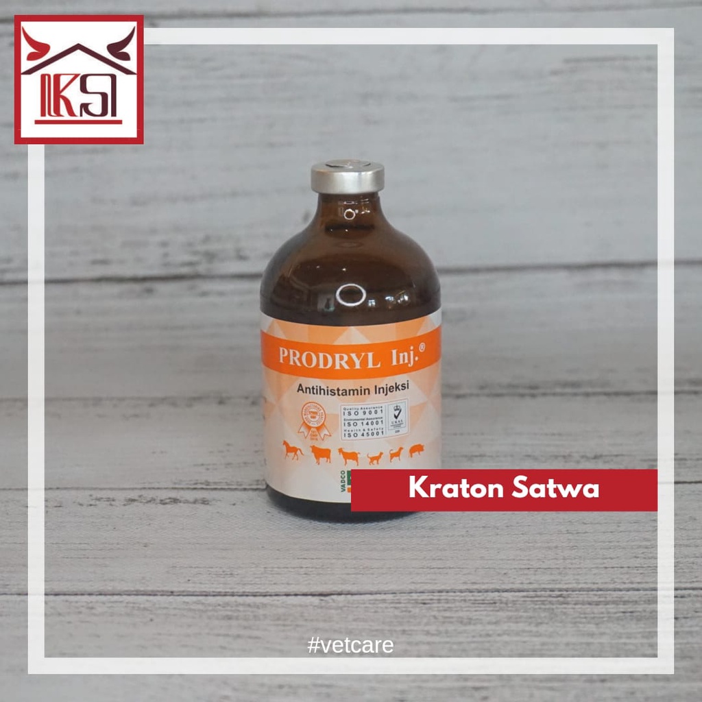 Jual [OBRAL LOS DOL] PRODRYL Injeksi 100 ml - Antihistamin VADCO Obat ...
