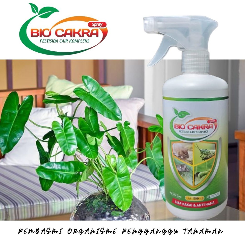 Jual Pestisida Spray BIO CAKRA 500 ml Anti Hama Ulat Semut dan Jamur ...