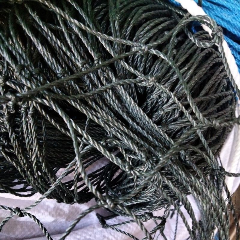 Jual JARING PENGAMAN LAPANGAN VOLI 12 meter x 5 meter JARING LAPANGAN ...