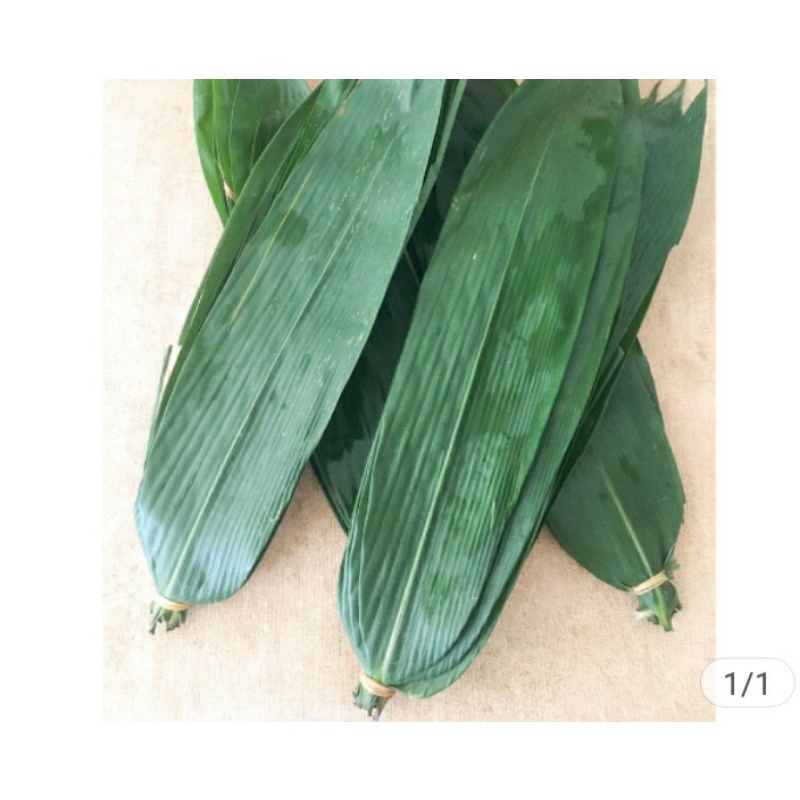 Jual DAUN BAMBU BUAT BACANG 100 LEMBAR MASIH SEGAR | Shopee Indonesia