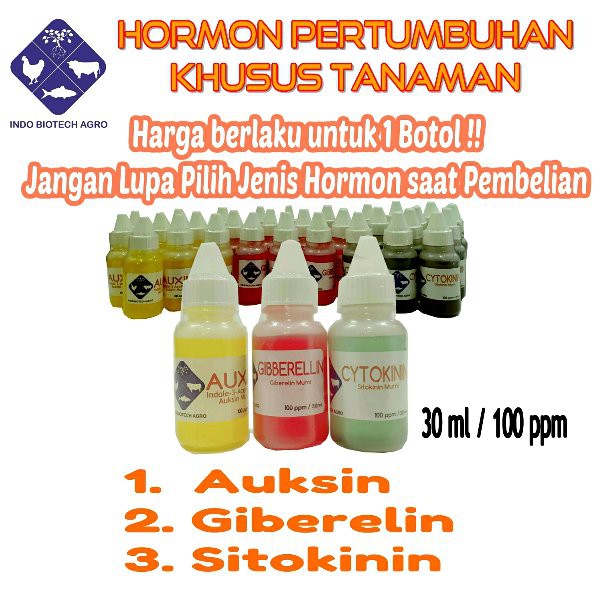 Jual Hormon Tanaman Auksin Giberelin Sitokinin 100 ppm 30 ml PPK ...
