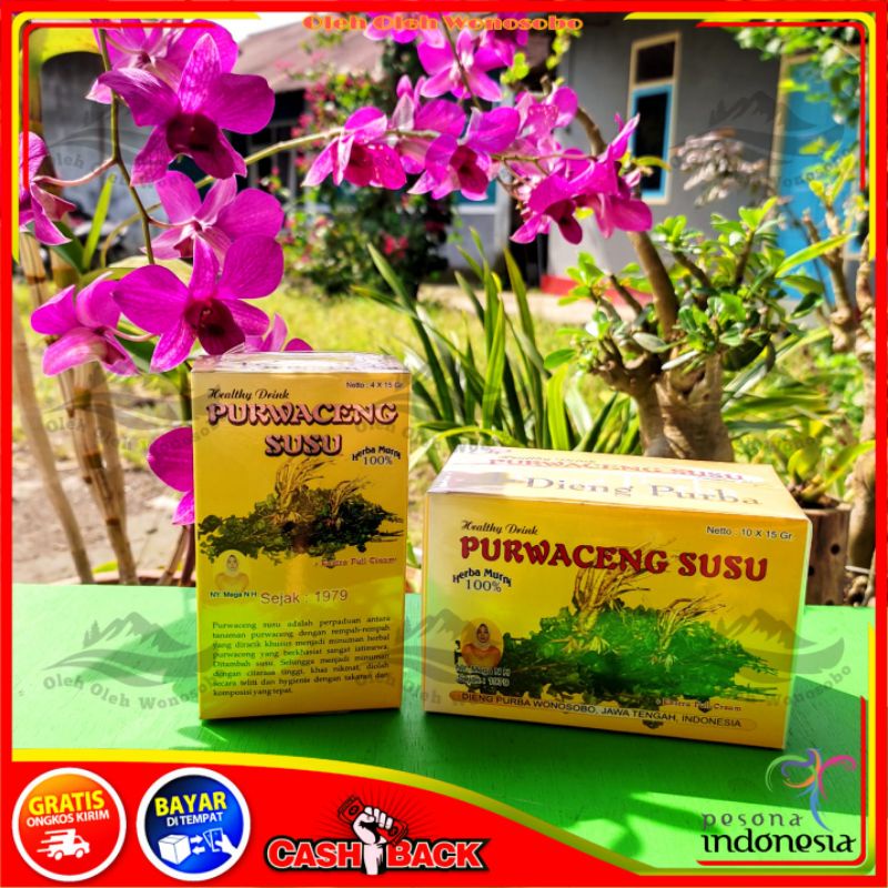 Jual PURWACENG DIENG PURBA ORIGINAL100% / BUBUK MINUMAN HERBAL KHAS DIENG WONOSOBO | Shopee ...