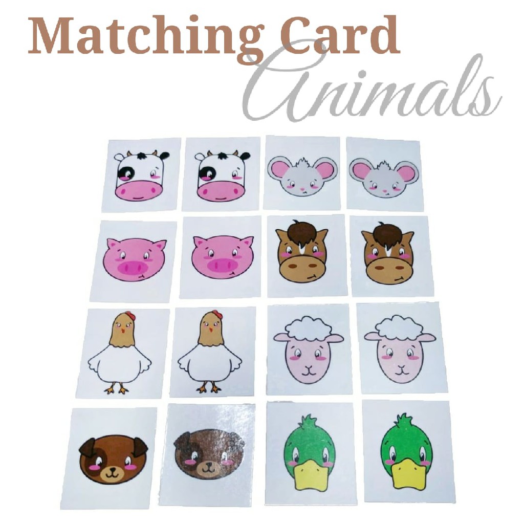 Jual Mainan Edukasi Montesssori Flash Card PAUD Cognition Shadow ...