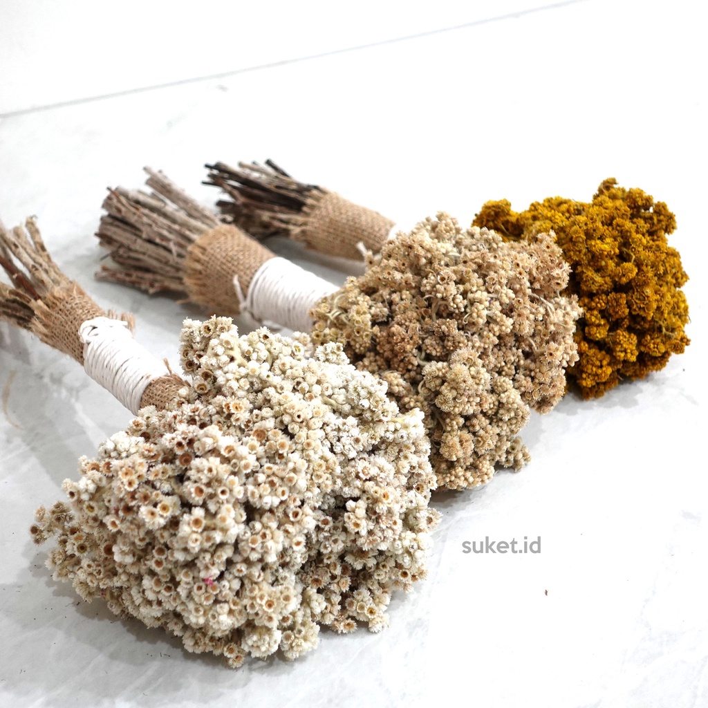 Jual BOUQUET BUNGA EDELWEIS (bunga buket Abadi) | Shopee Indonesia