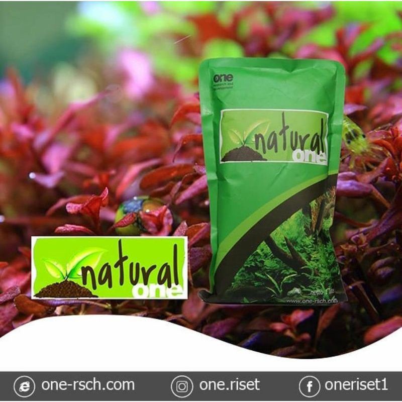 Jual Pupuk Dasar Natural One 1 Liter - Pupuk Organik Berkualitas Tinggi ...