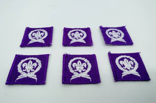 Jual Tanda Pandu Pramuka Badge Wosm Pramuka Badge Pramuka Bet Pandu ...