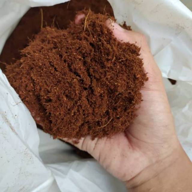 Jual cocopet / cocopeat / media tanam 1 KG | Shopee Indonesia