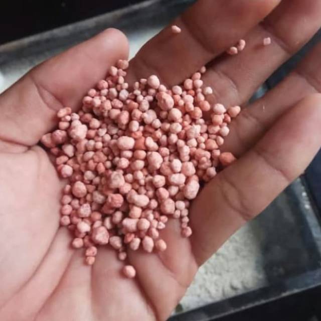 Jual pupuk poska - pupuk rumput taman | Shopee Indonesia