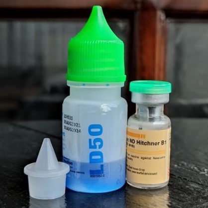 Jual VAKSIN MEDIVAC ND HITCHNER B1 - Dosis 50 ekor | Shopee Indonesia