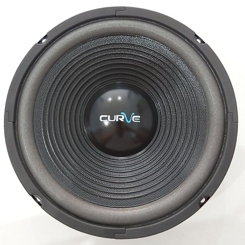 Jual CURVE Speaker 10 INCI WOOFER 25H100SUWPP 300 Watt | Shopee Indonesia