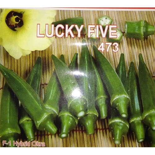 Jual benih / biji / bibit okra hijau (REPACK) | Shopee Indonesia