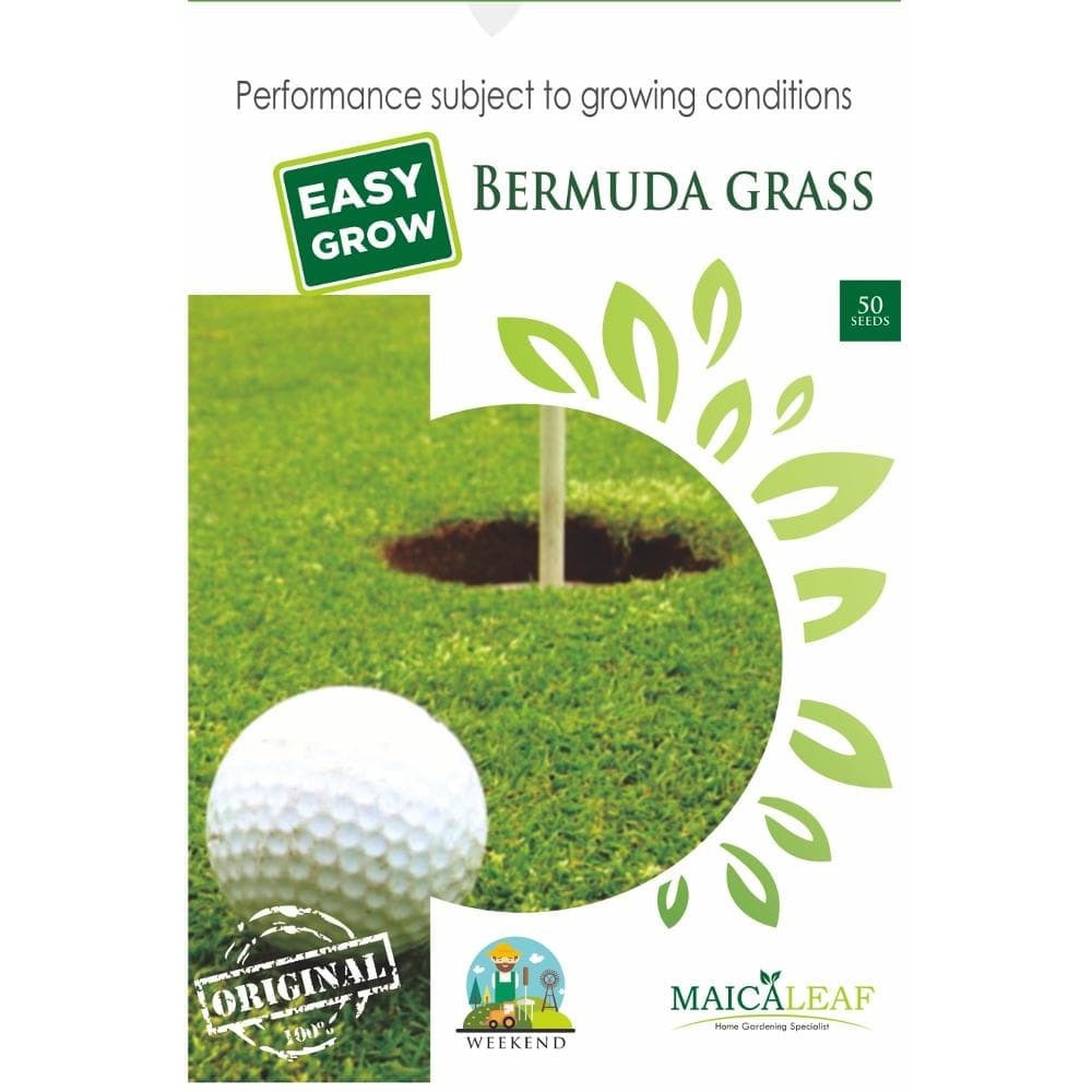 Jual Benih Rumput Bermuda/Bibit Rumput Golf Maica Leaf - 50 Benih per ...