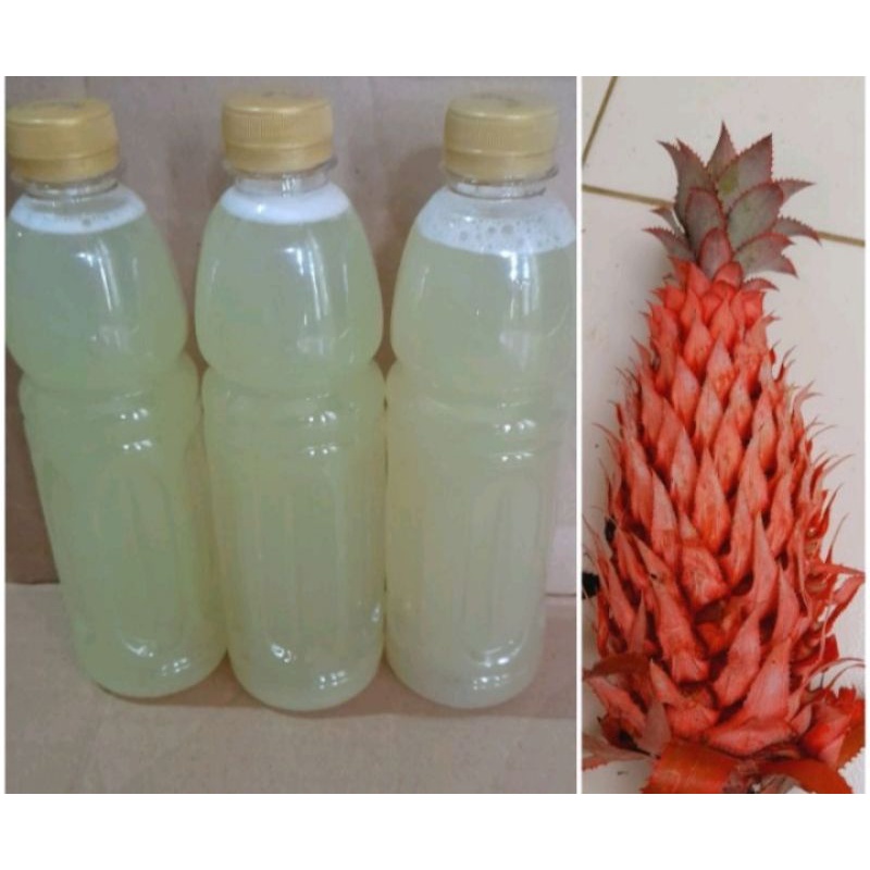 Jual jual jus nanas merah murni asli per botol 600 ml | Shopee Indonesia