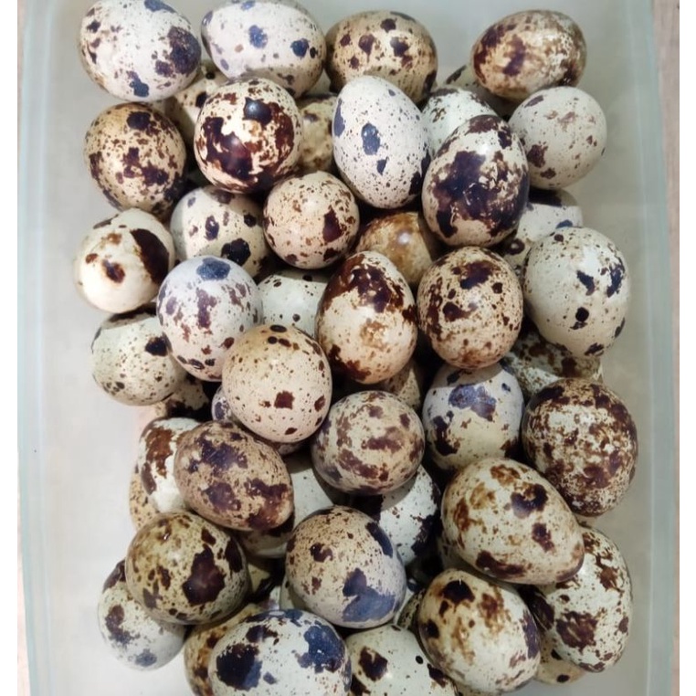 Jual telur puyuh matang, telur puyuh sudah di rebus , 1 KG | Shopee ...