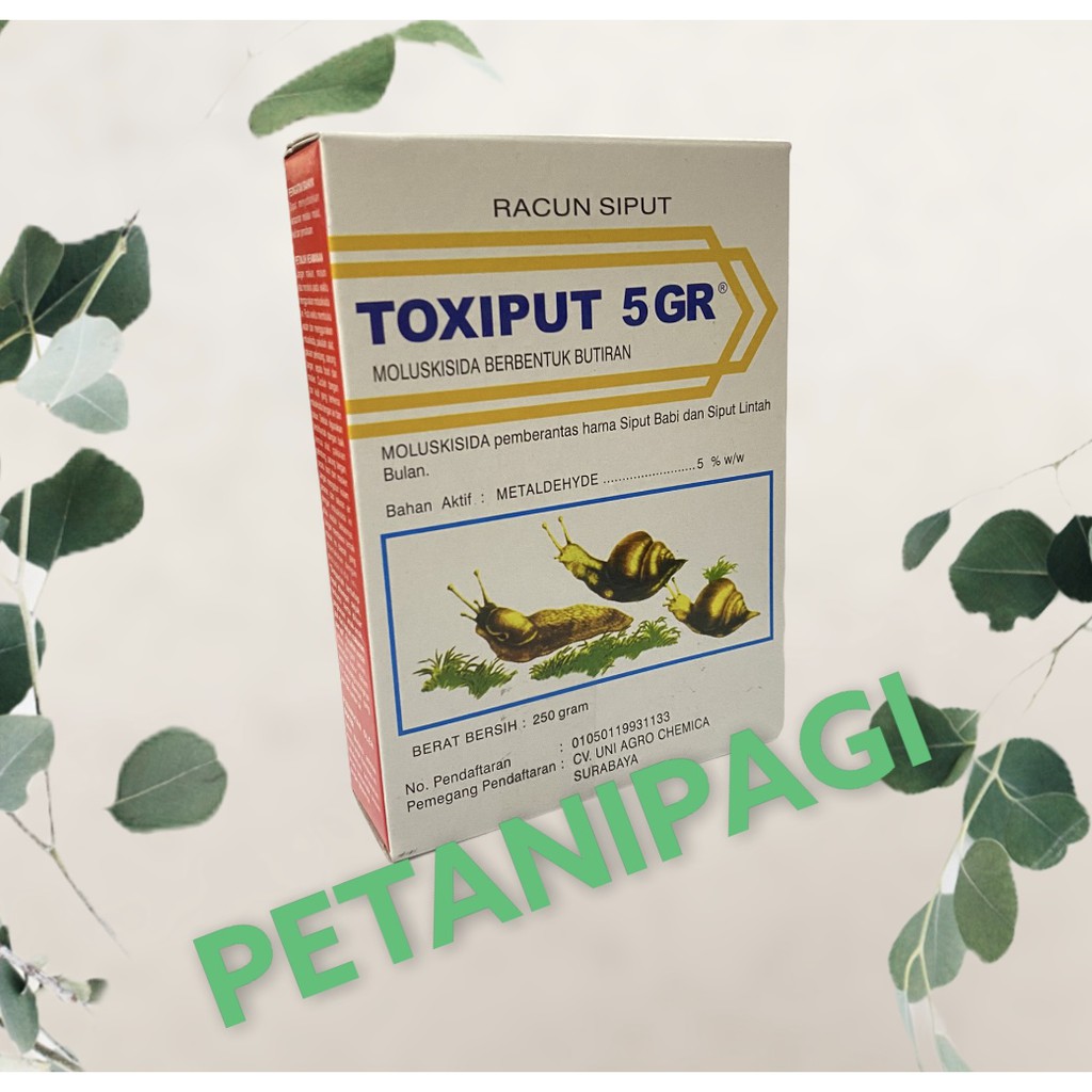 Jual Racun Siput Toxiput 5GR 250 gram | Shopee Indonesia